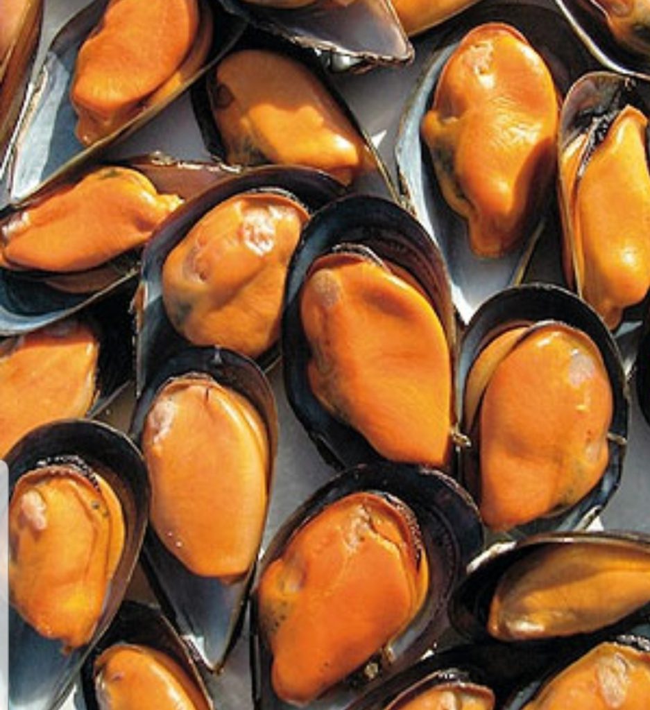 Chorito Paellero Kilo – Pesquera Mancilla