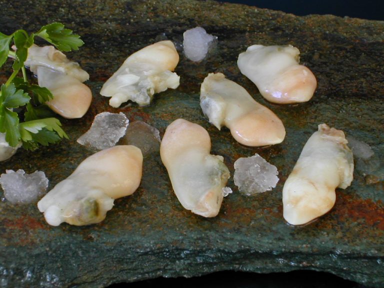 Navajuela CodR Kilo – Pesquera Mancilla